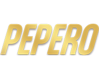 GoShoppi - The online Shopping from your Favourite Neighbourhood Stores ...